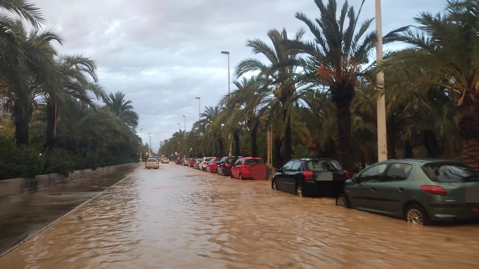Cae una importante lluvia sobre Elche - Versión Radio